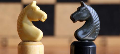 Восьмилетний кюрдамирский шахматист стал первым среди сверстников ...